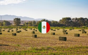 ¿Qué son los recursos inagotables? 【Recursos naturales】