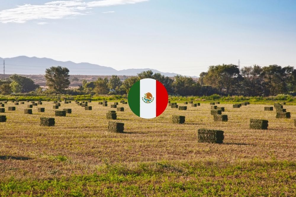 Recursos naturales de mexico Todo lo que debes saber