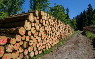 ¿Qué son los recursos inagotables? 【Recursos naturales】