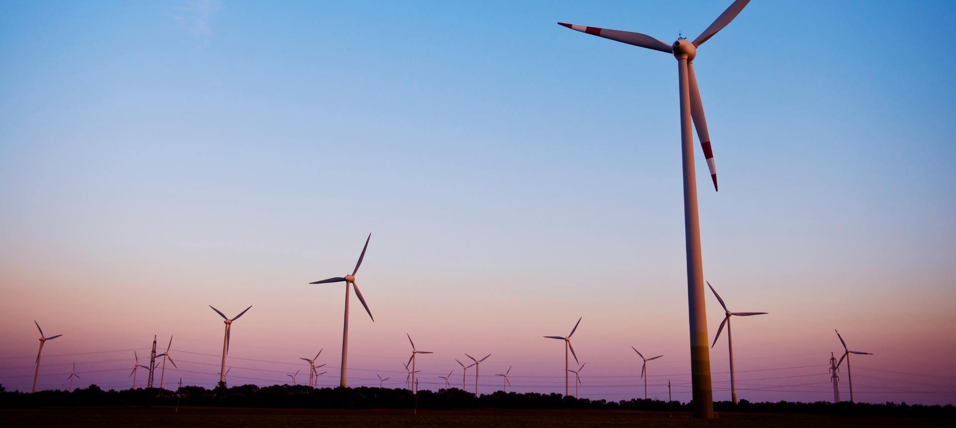 ¿Qué son los recursos inagotables? 【Recursos naturales】